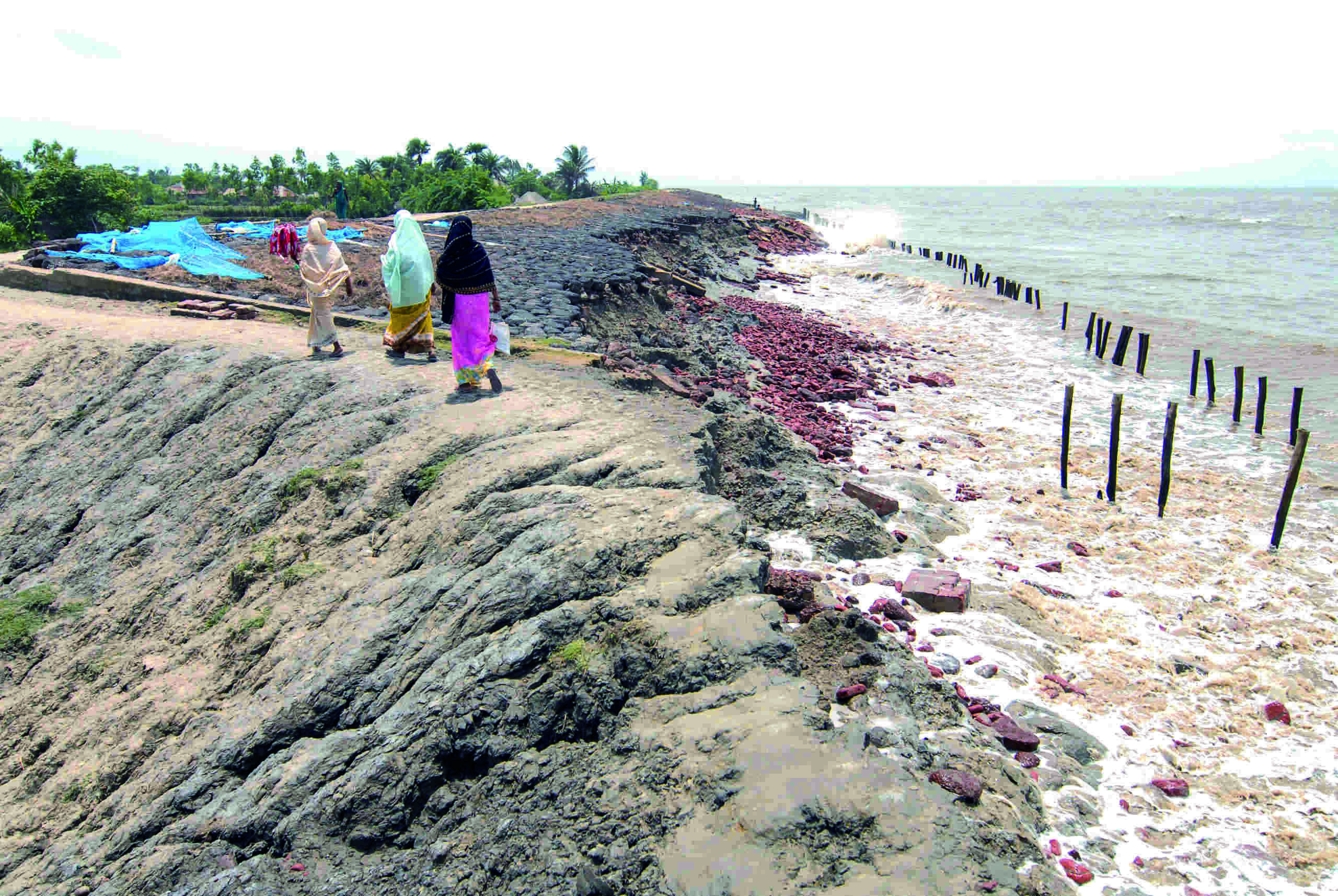 'State will find permanent fix to curb coastal erosion using tech'