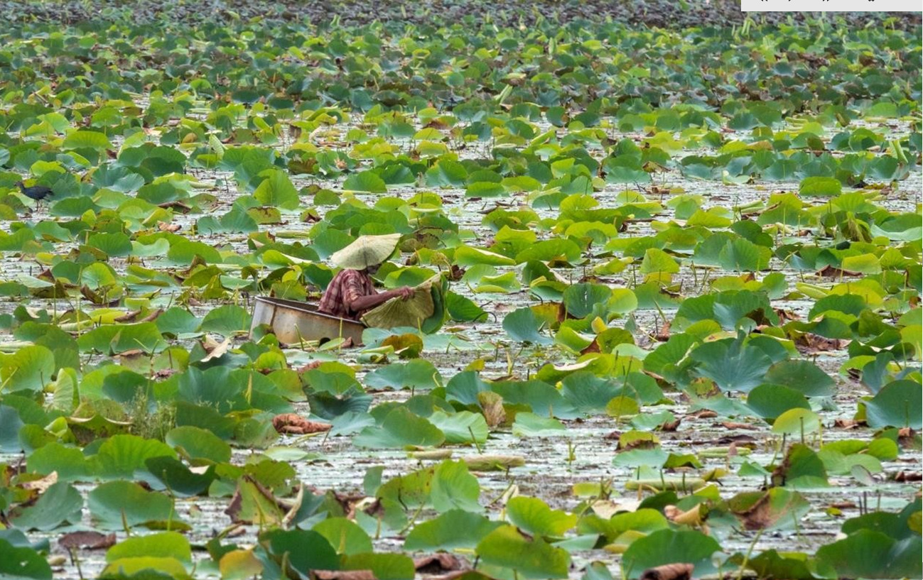 Nexus of Good: A giant leap forward