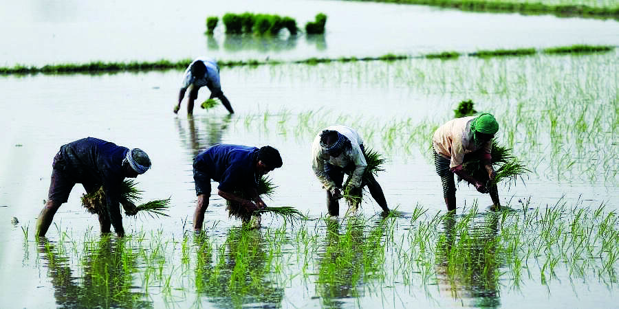 Bengal eyes to double export of agri, horticulture & animal-based products
