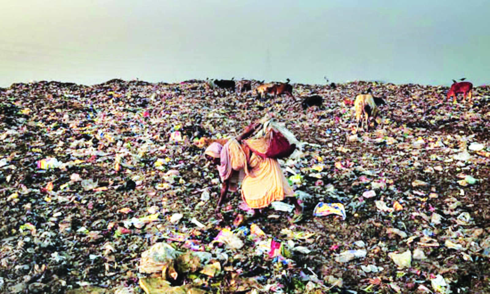 City civic body to build platforms, repair roads at Dhapa landfill
