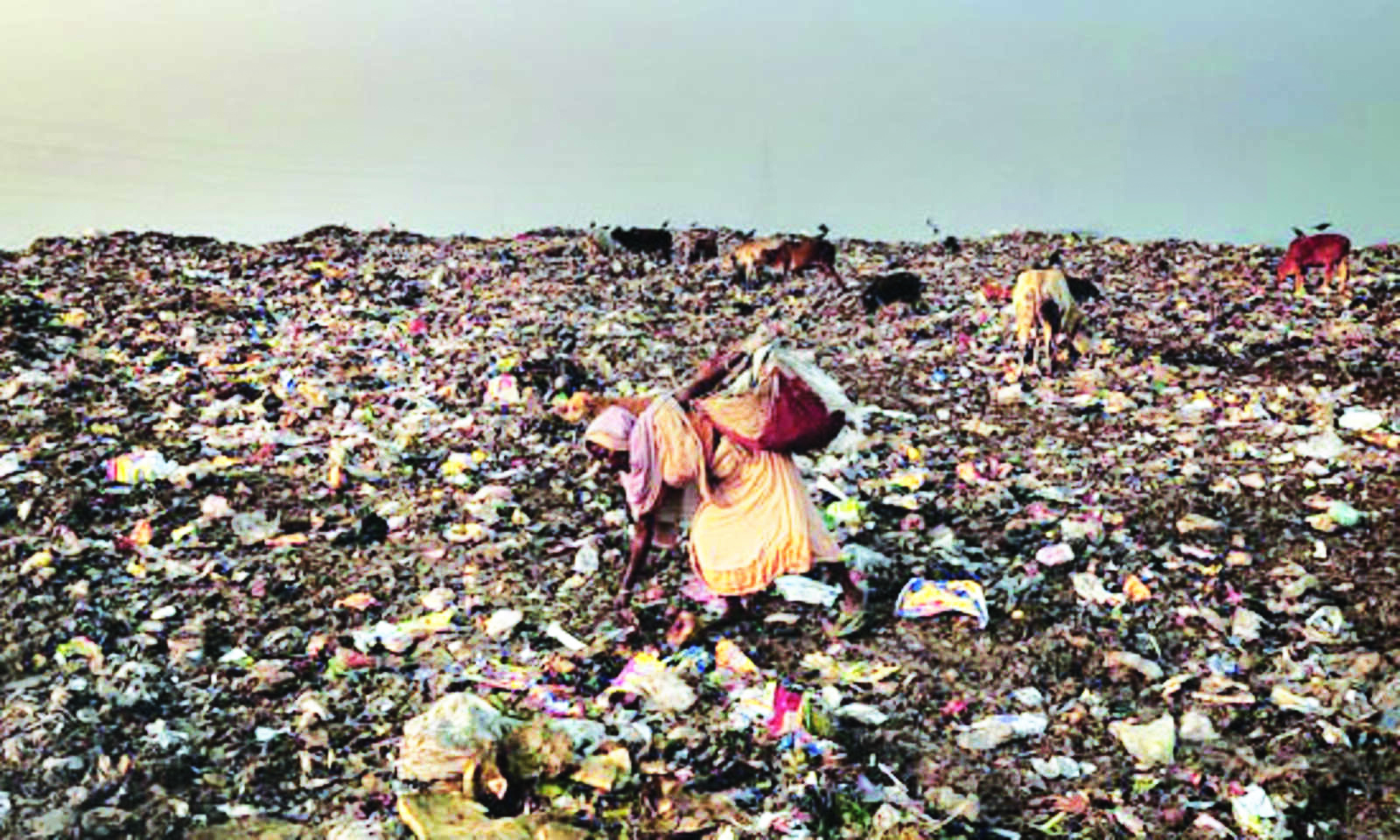 City civic body to build platforms, repair roads at Dhapa landfill