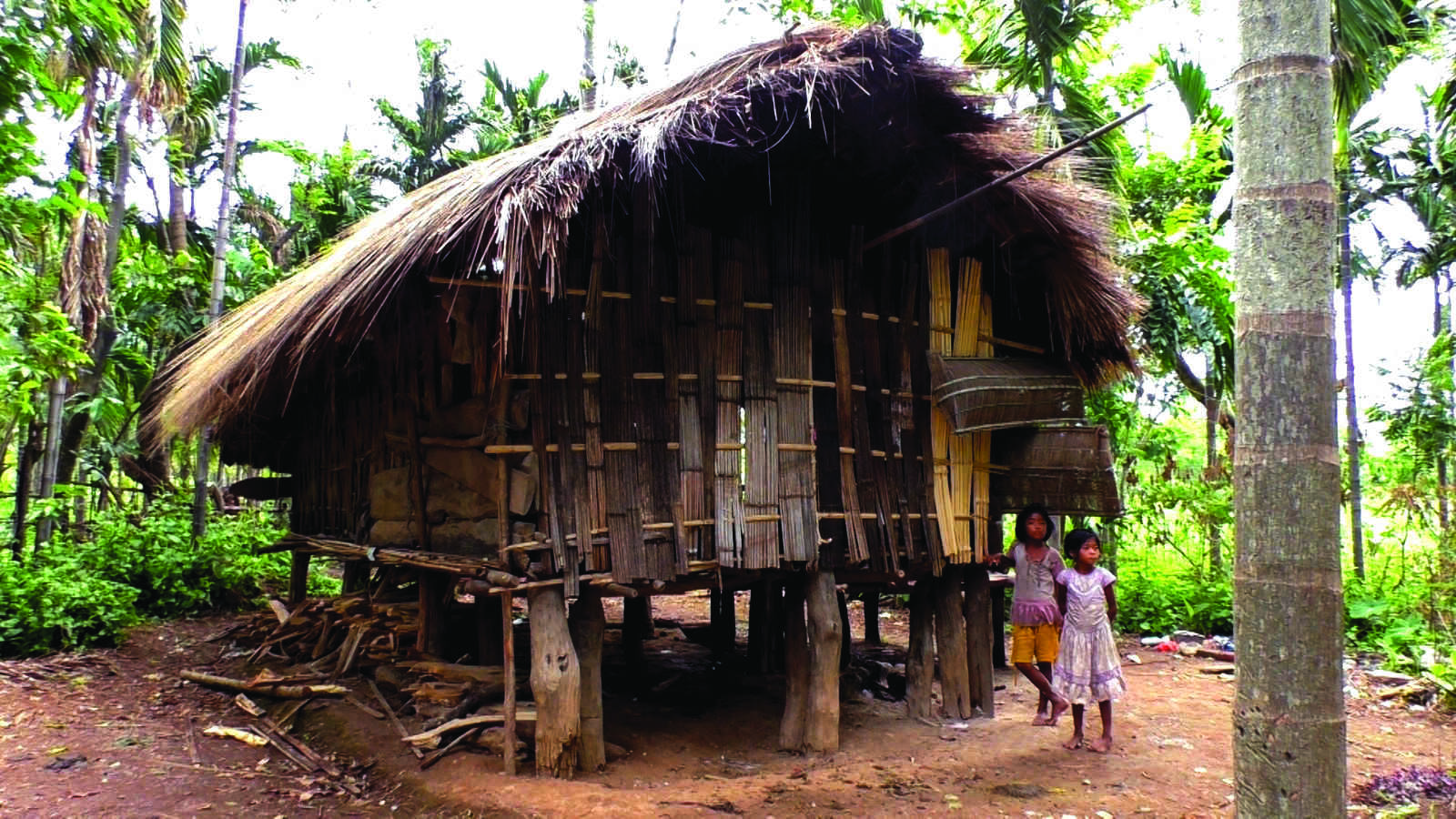 President Murmu invites Toto tribe members for special meet in New Delhi