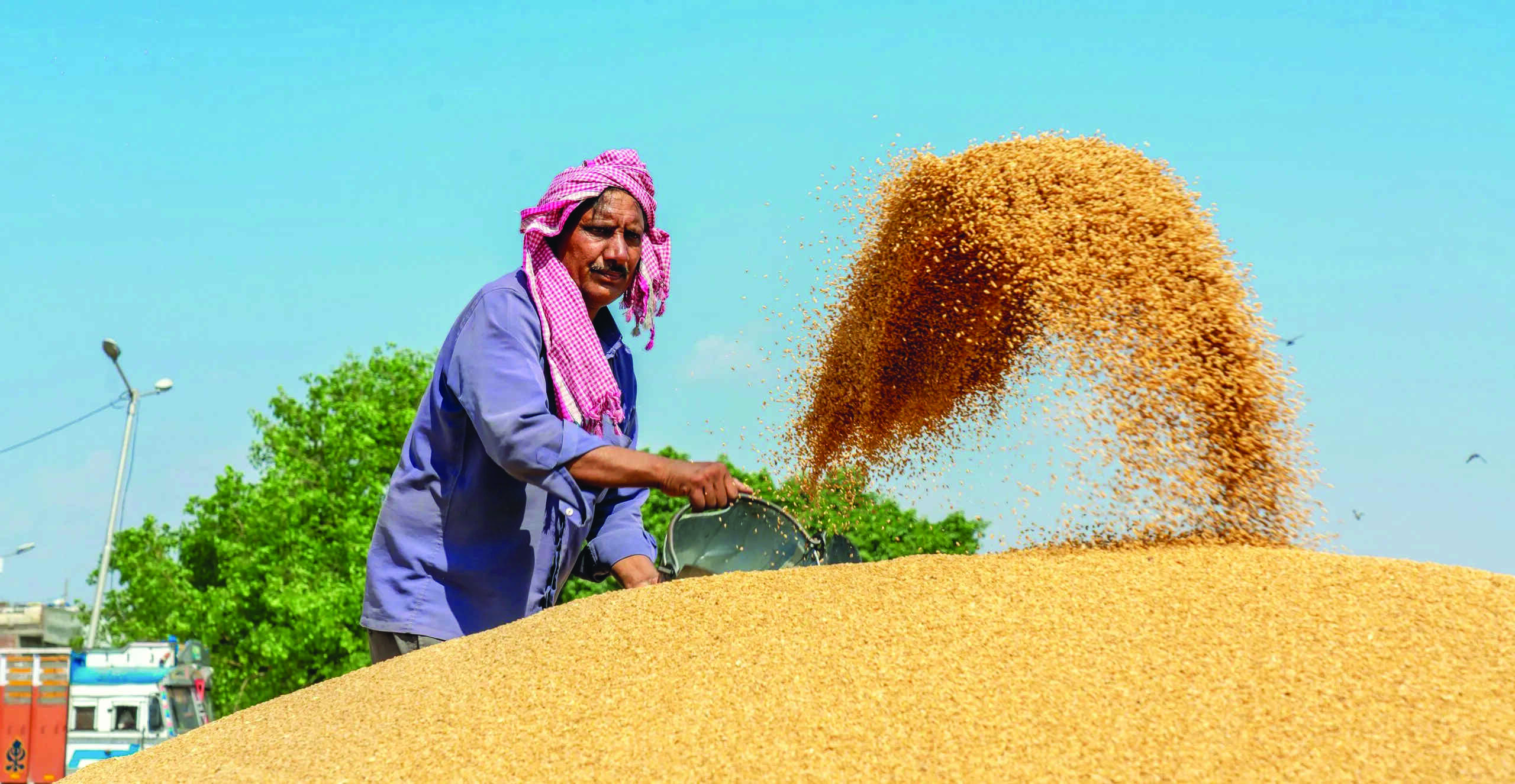 Govt Mulls Import Duty Cut Other Options As Wheat Prices Firm Up