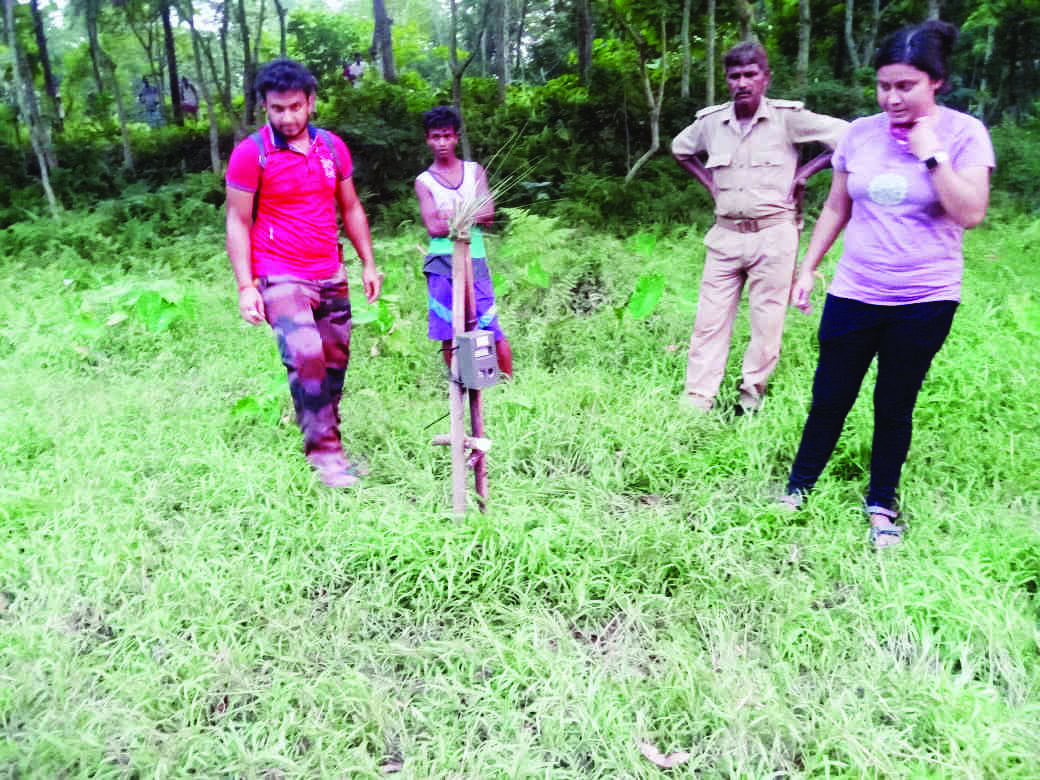 Alipurduar: Forest dept installs trap cameras to capture leopard