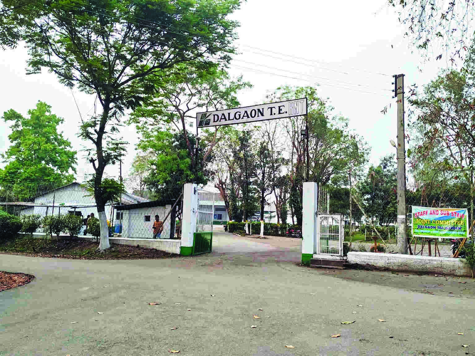 Dalgaon Tea Estate becomes the first to announce bonus this year