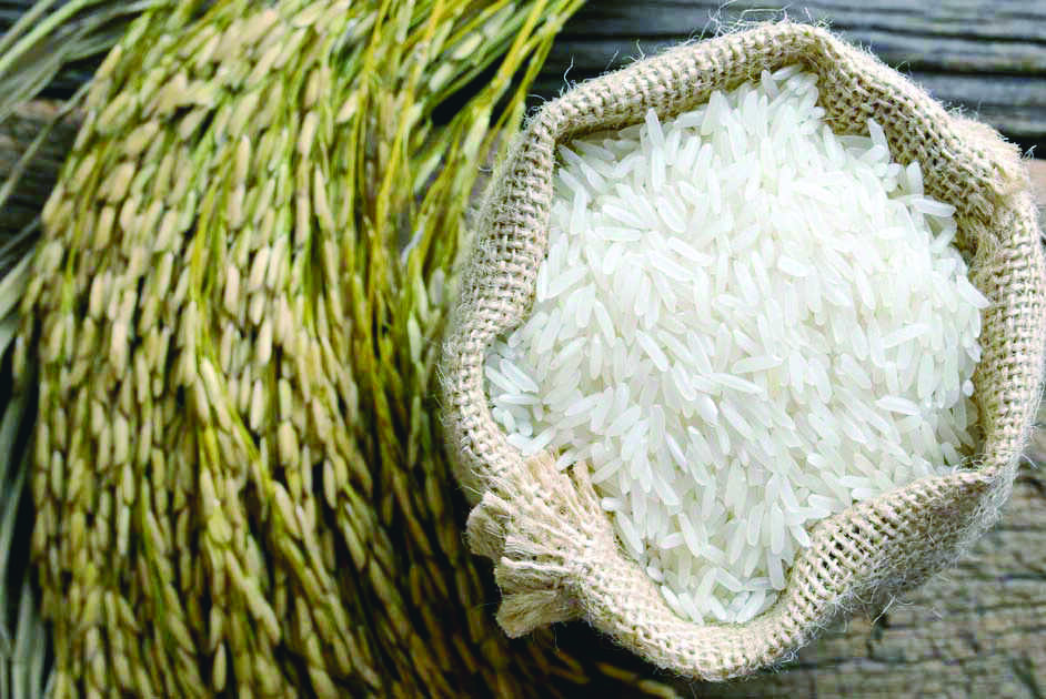 Basmati rice: Govt may review minimum export price
