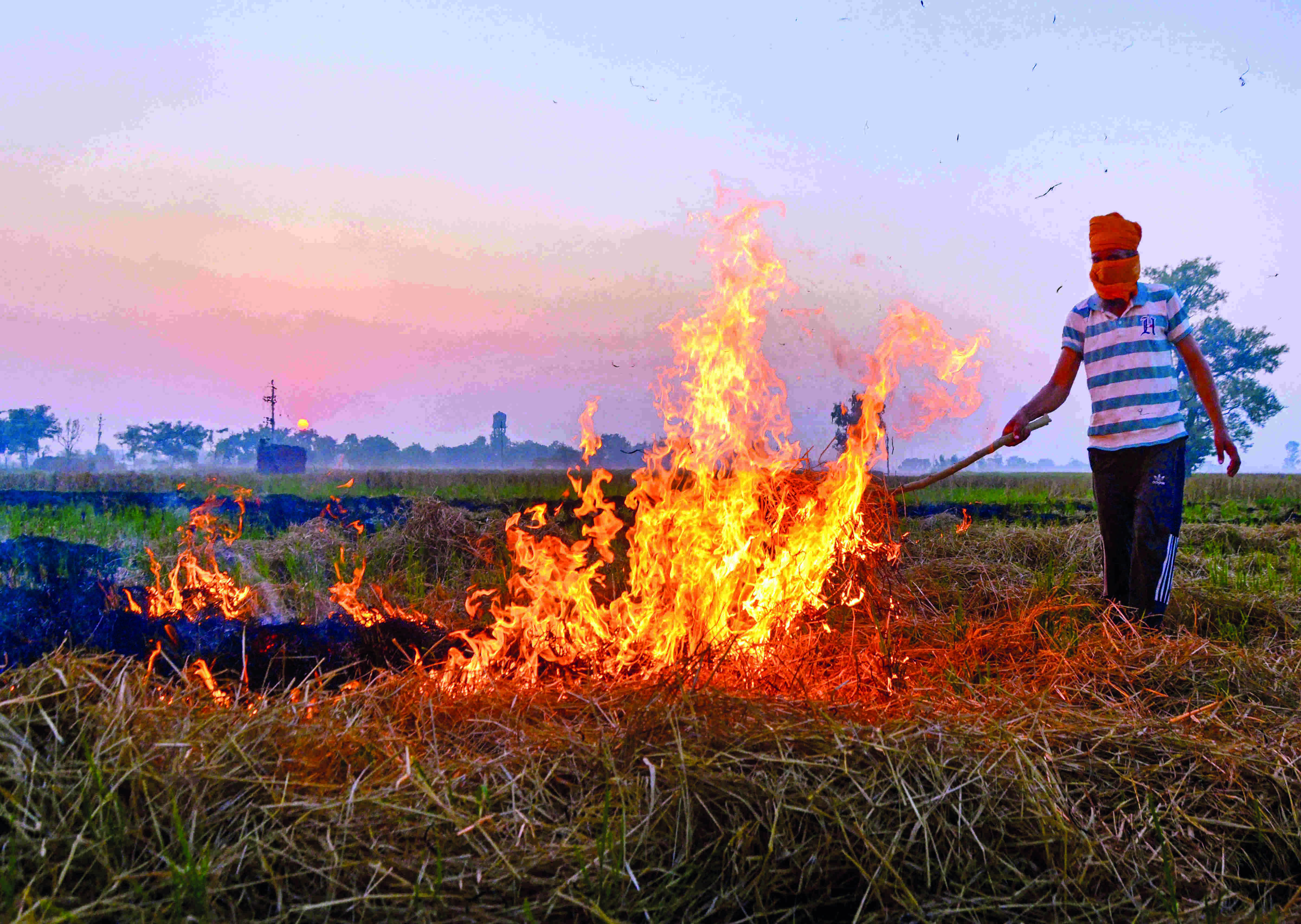 ‘It’s your job’: SC directs Punjab, Haryana, UP, Raj to immediately ...