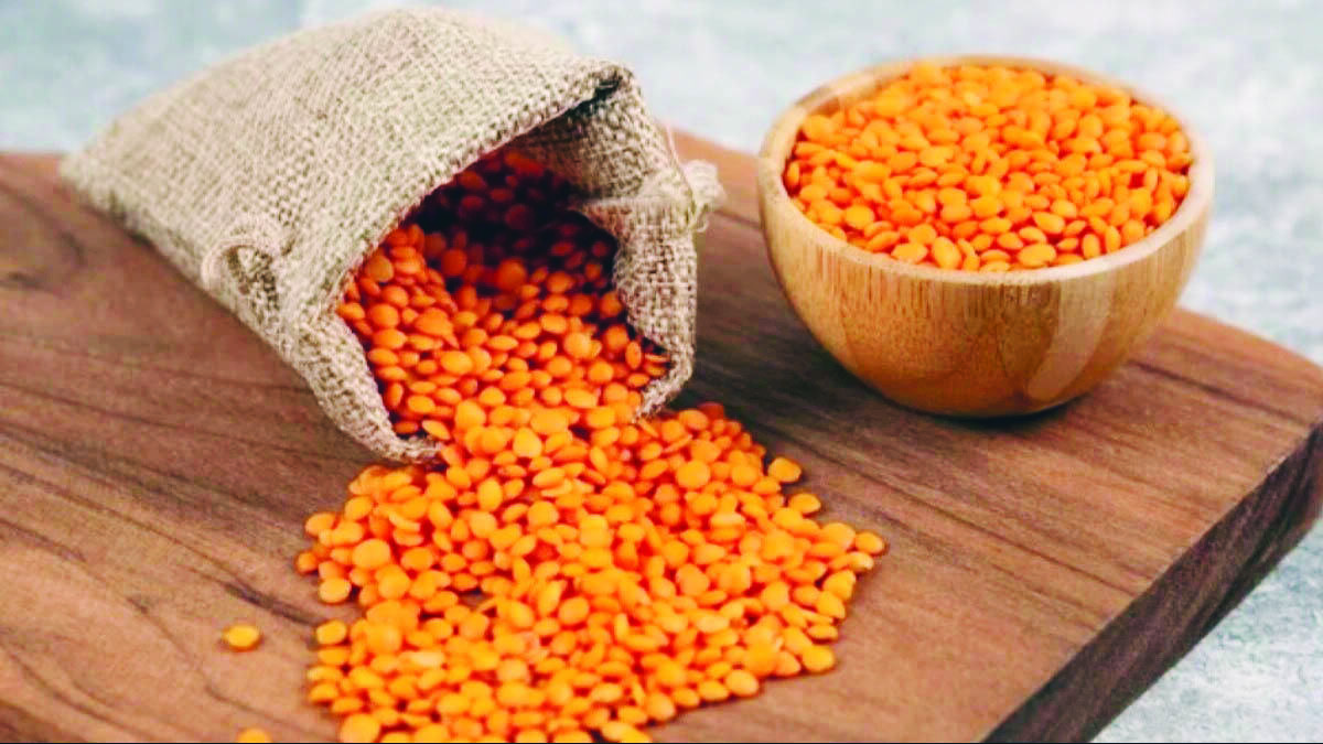 Masur production may touch record 1.6 mn tonnes this rabi season: Govt