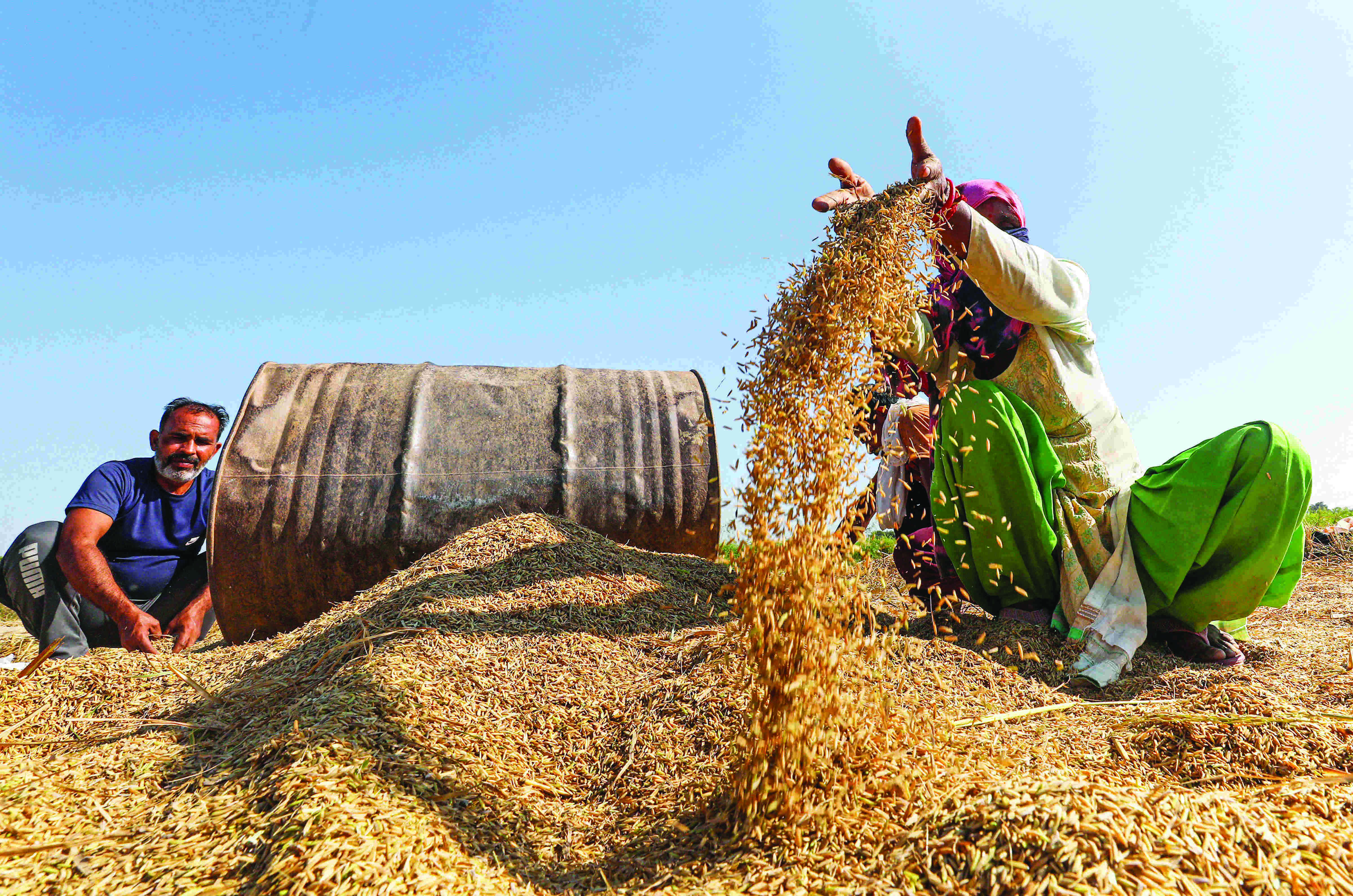 Centre withheld release of Rs 7,000 crore earmarked for paddy ...