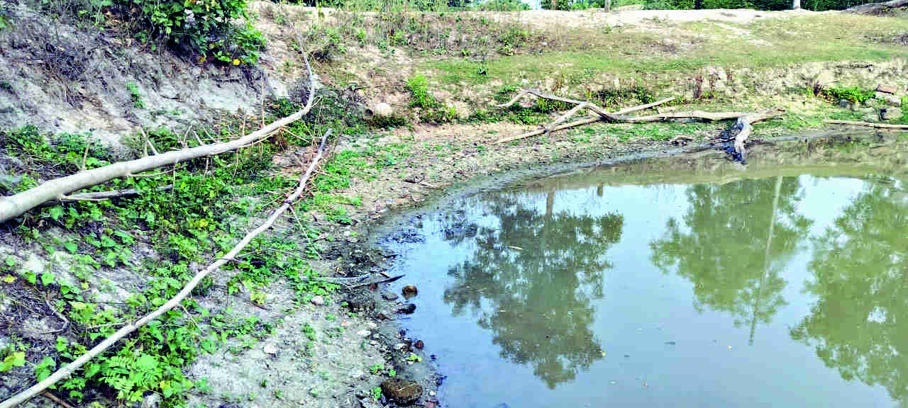 Tapan Block: Fish farming hampered due to heat & water-related problems