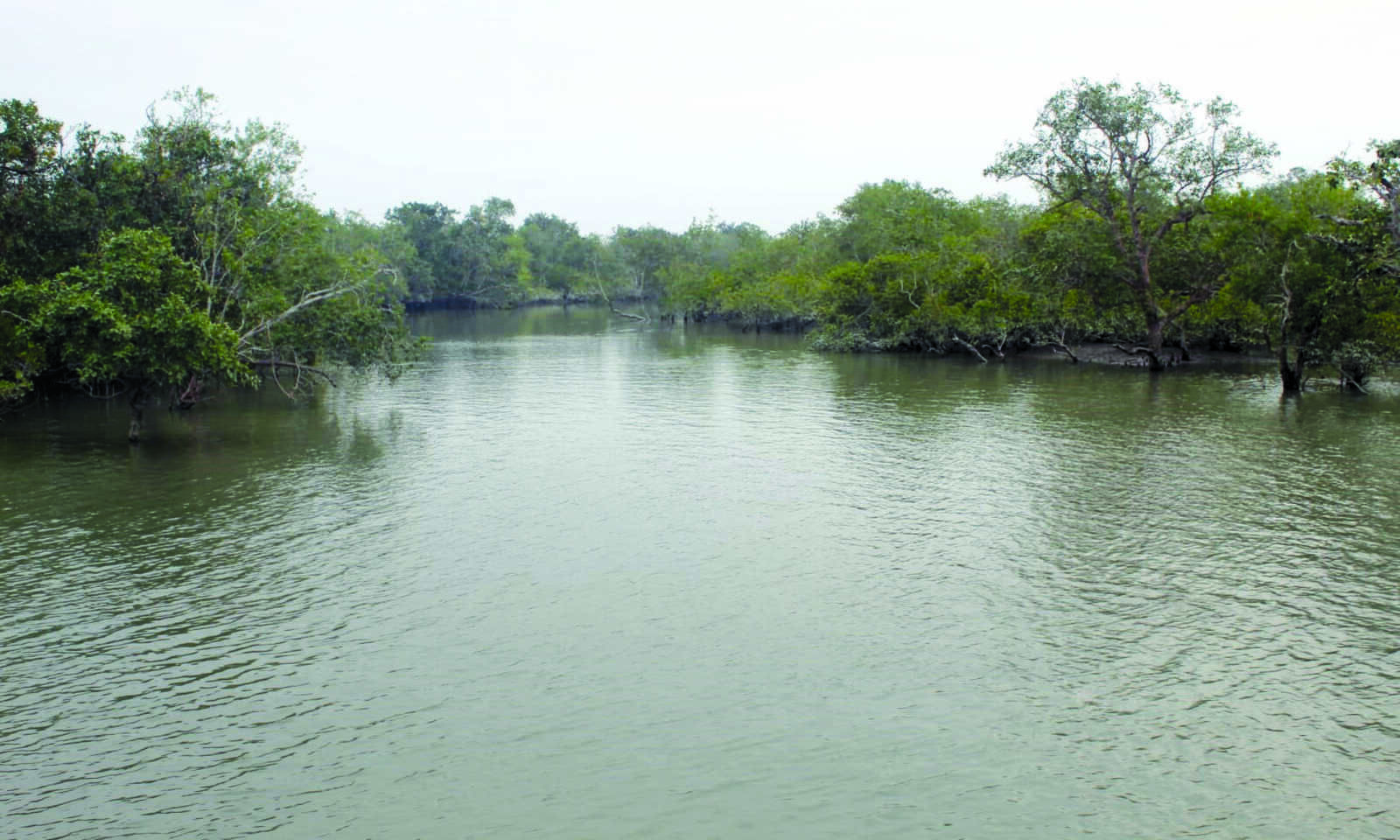 Ham radio team reaches Sunderbans, sets up temporary stations