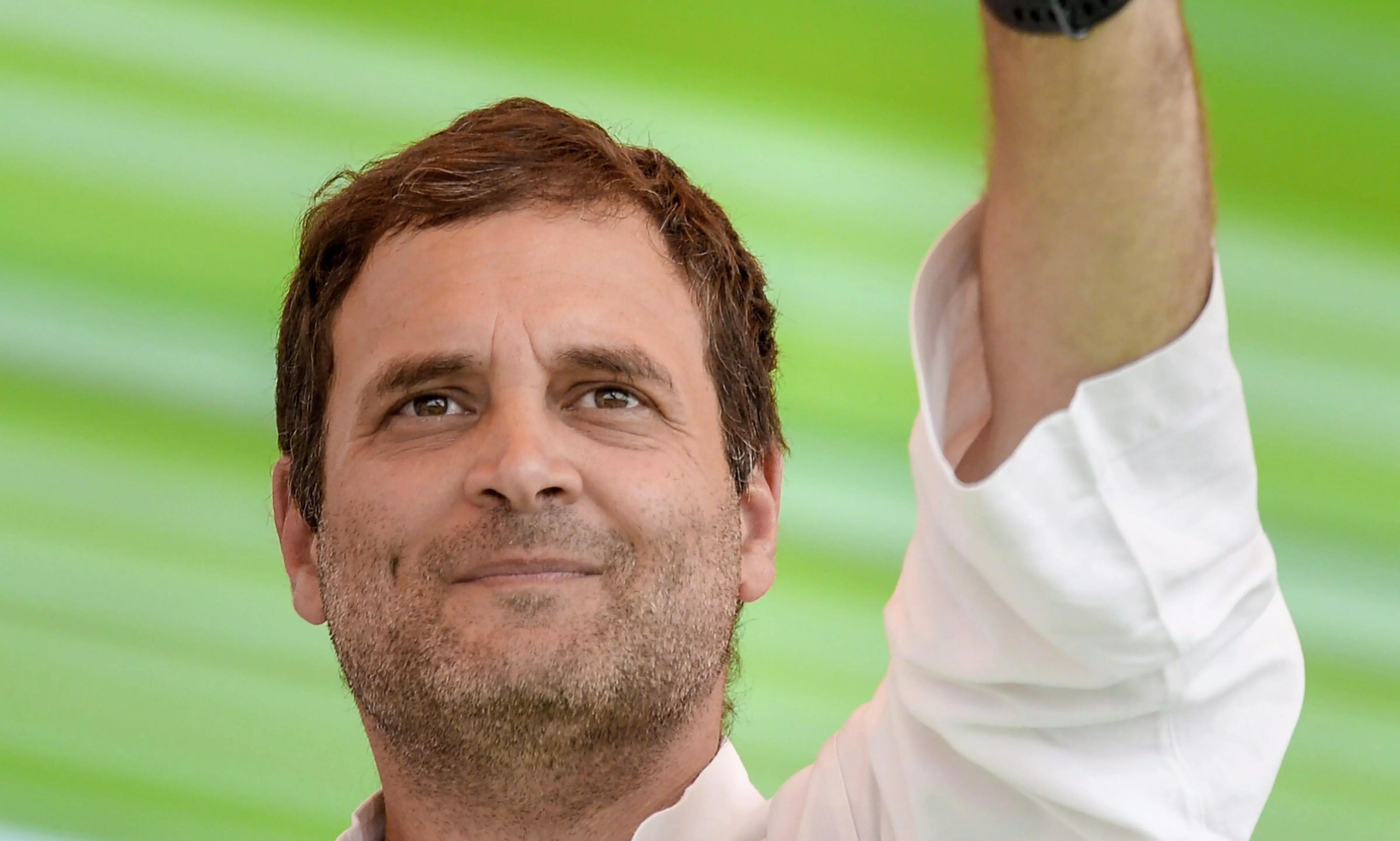 Rahul Gandhi Gains Big Lead In Wayanad Ls Seat