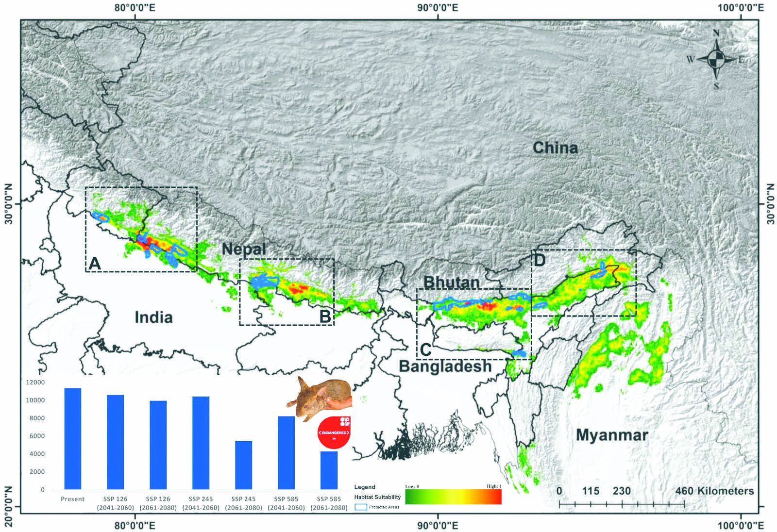 Comprehensive study traces Hispid Hare habitats across three countries