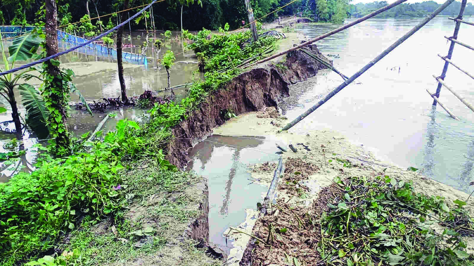About 300 houses affected by Raidak River Dam breach