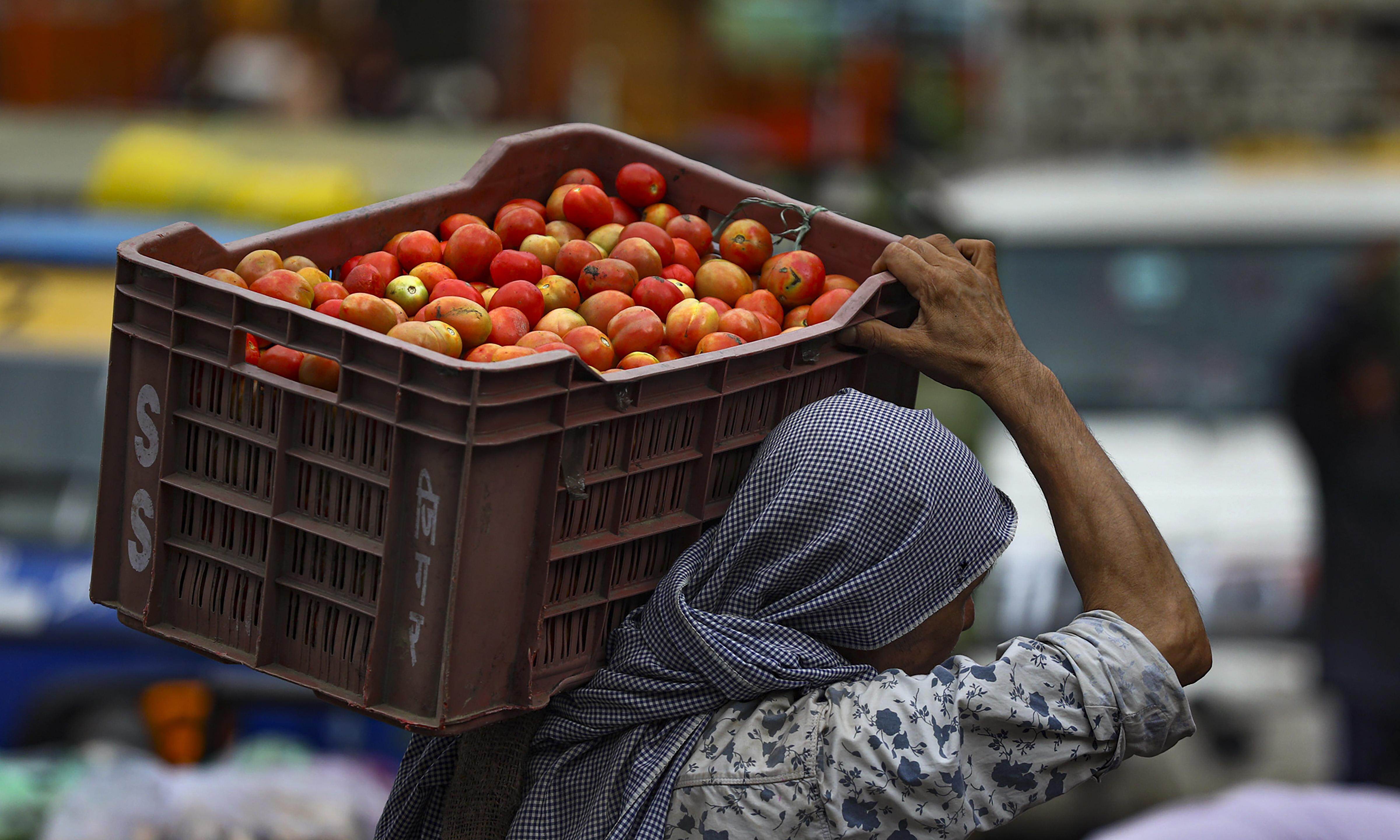 Govt sells subsidised tomatoes at Rs 60/kg in Delhi-NCR