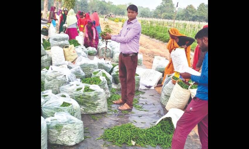 MP leads nation in spice crop production, sets new benchmark with 54 ...