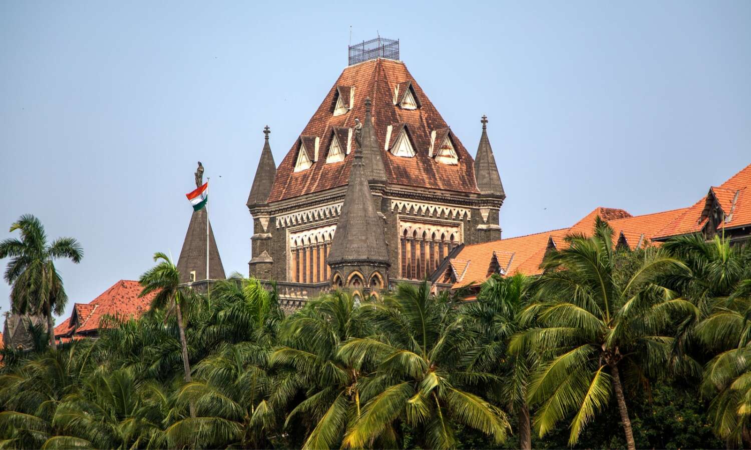 Bombay HC grants bail to consultant Chetan Patil in Shivaji statue collapse case