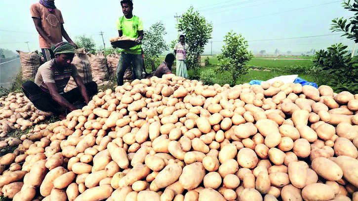 State govt to allow potato loading in cold storages from March 1