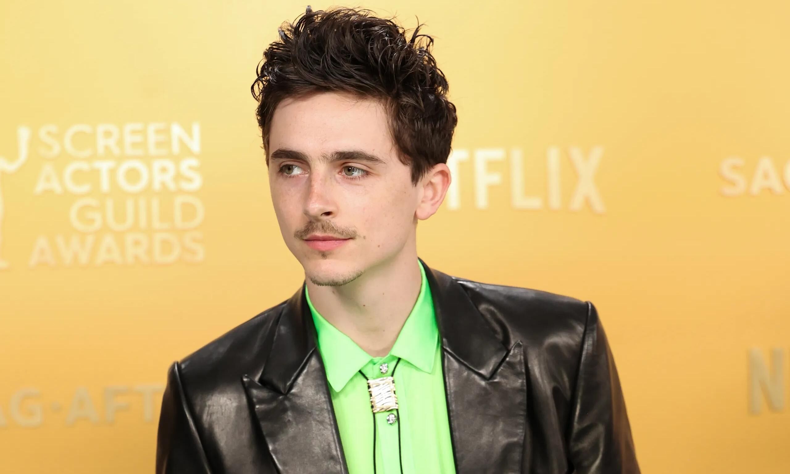 31st Screen Actors Guild Awards: Timothée Chalamet triumphs with best ...
