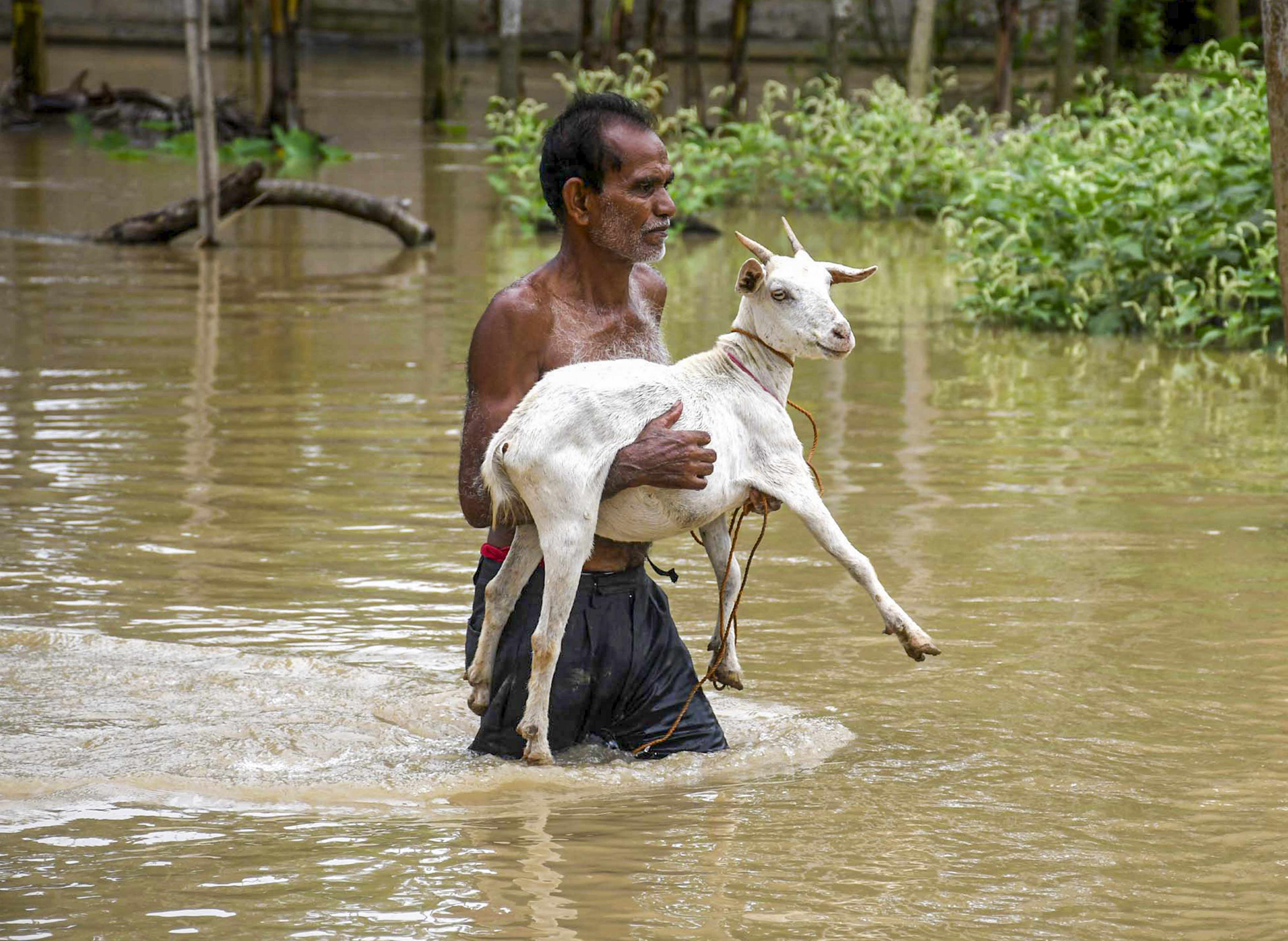 Flood Fury Yet Again