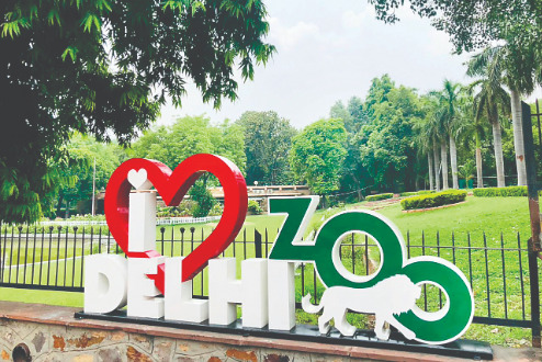 From UV bulbs to extra feed, Delhi Zoo’s winter care