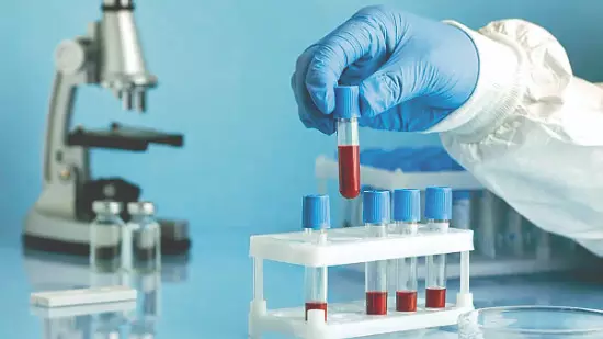 Bengal issues guidelines for Nipah virus management