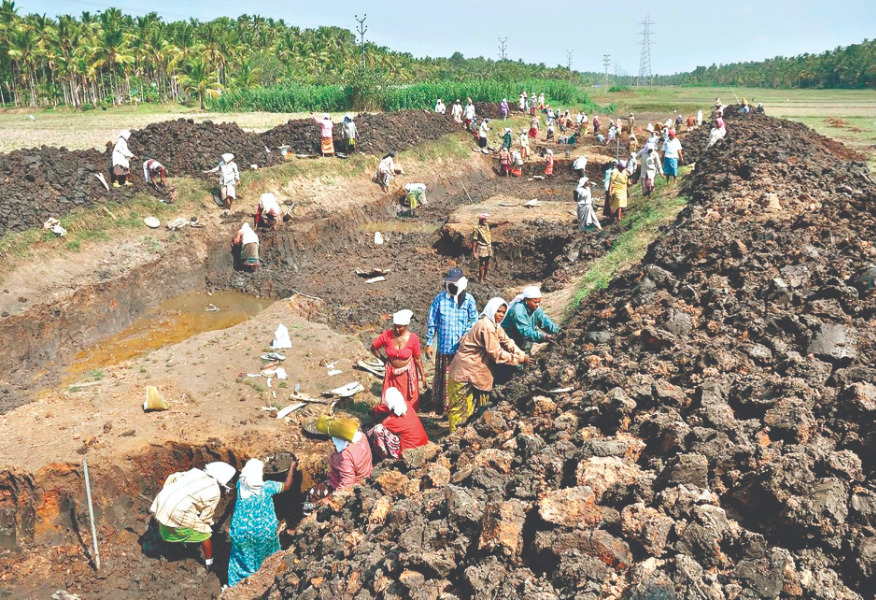 Path to Resilient Livelihoods